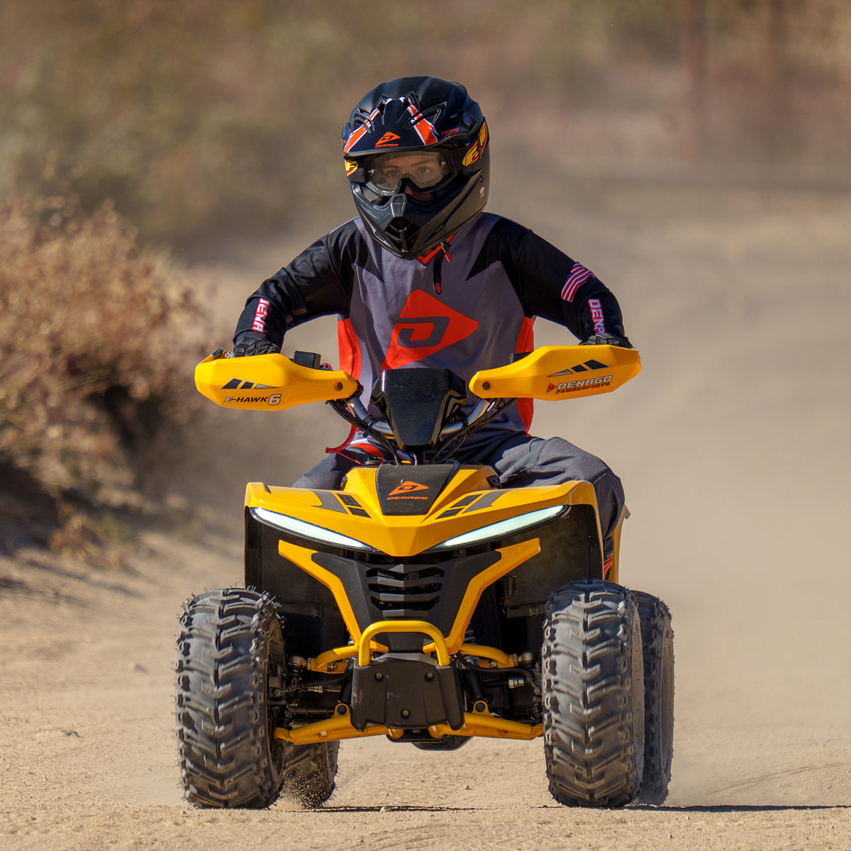 Electric ATVs - DENAGOPOWERSPORTS.com