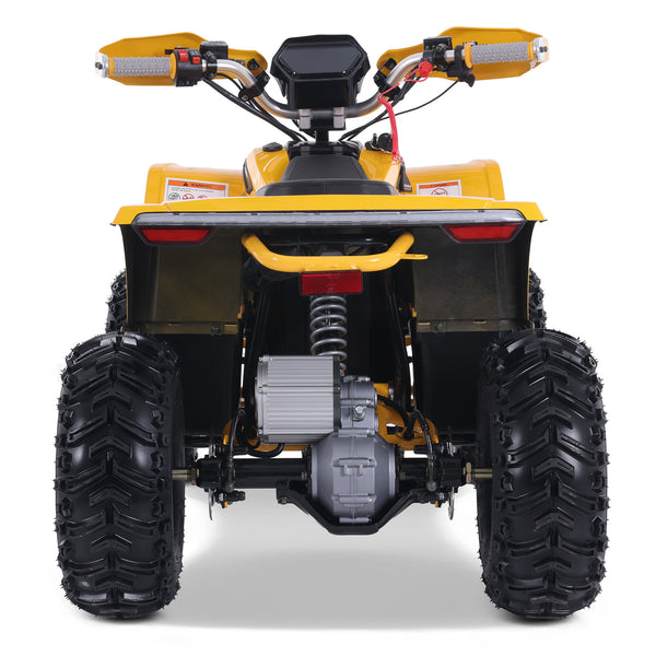 Denago E-Hawk 6 ATV